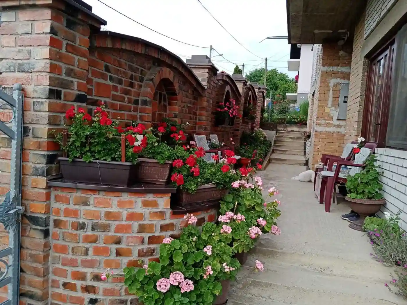 Mišeluk, Petrovaradin