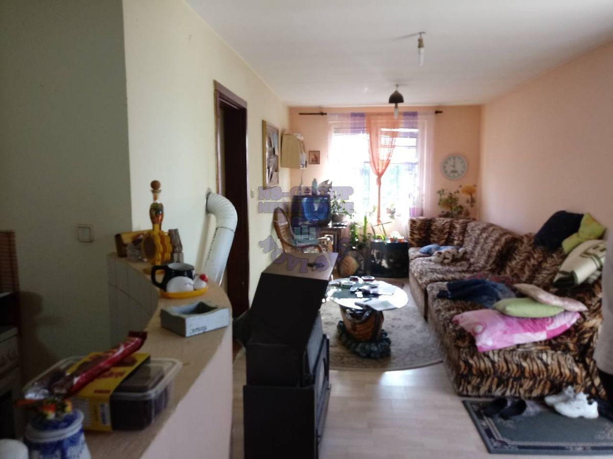 Kamenjar, Novi Sad