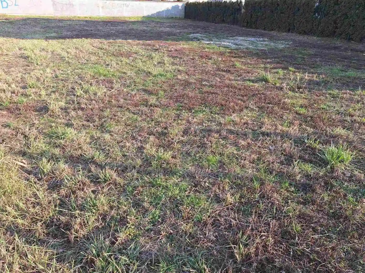 Veternička rampa, Veternik