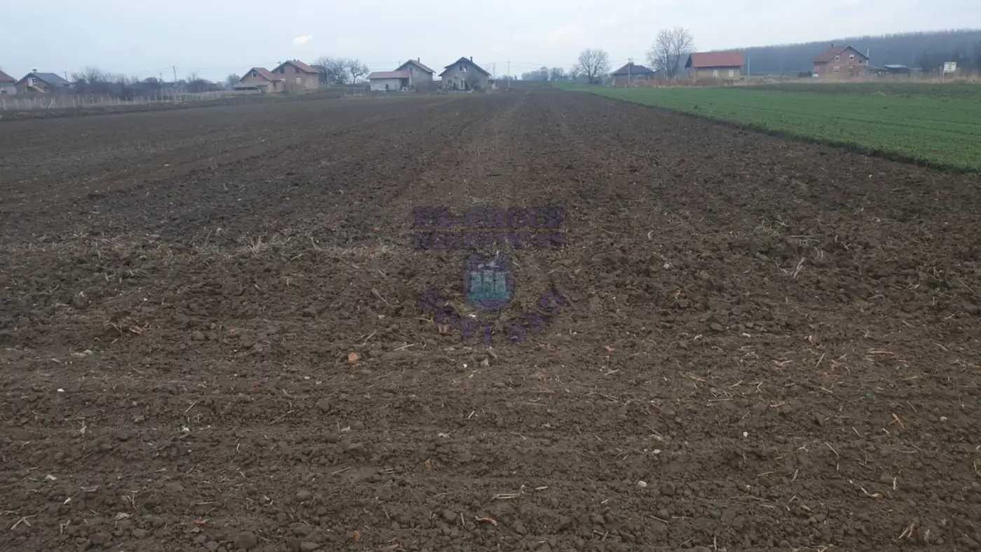 Centar, Begeč