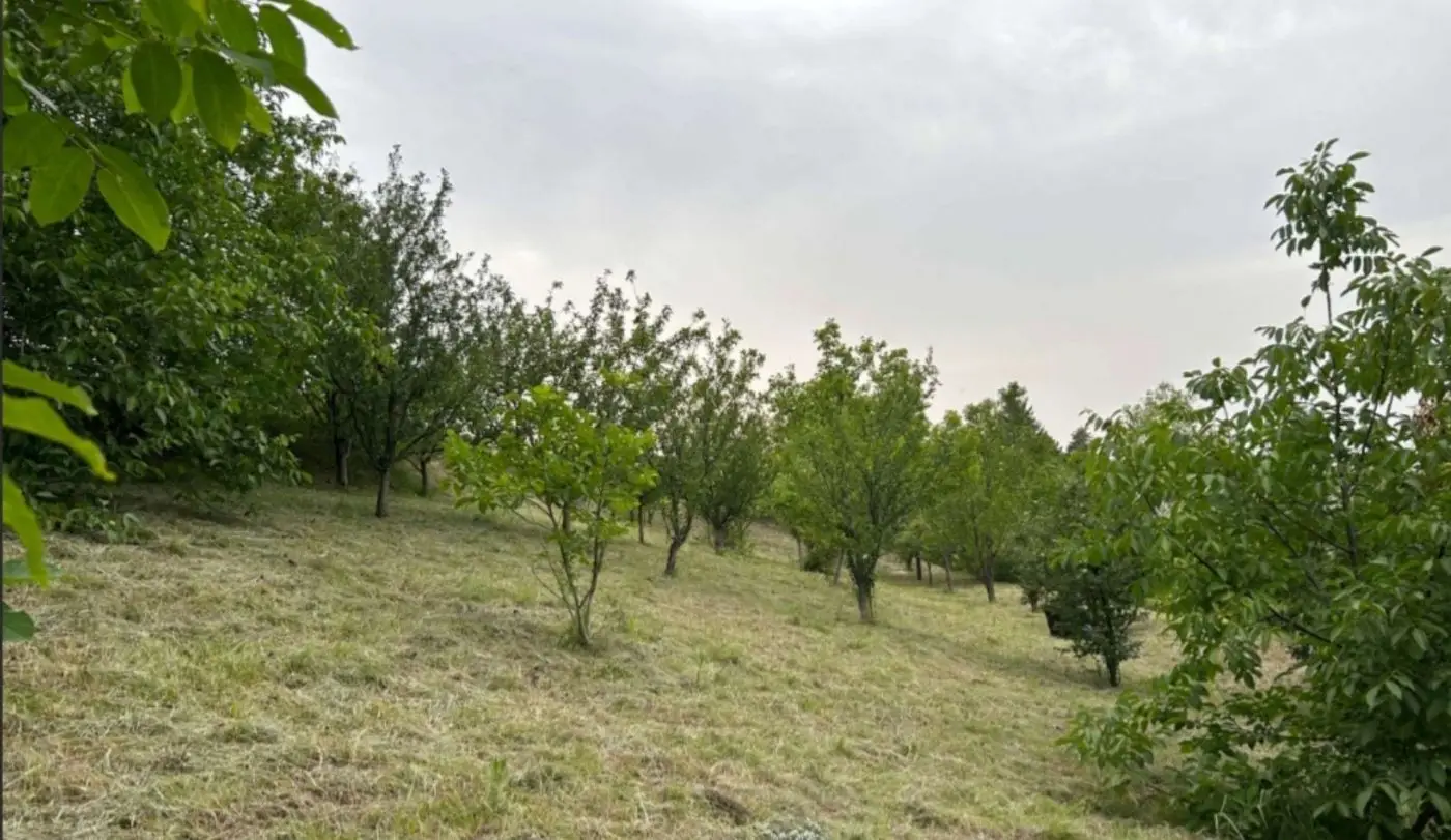 Dumbovo, Rakovac