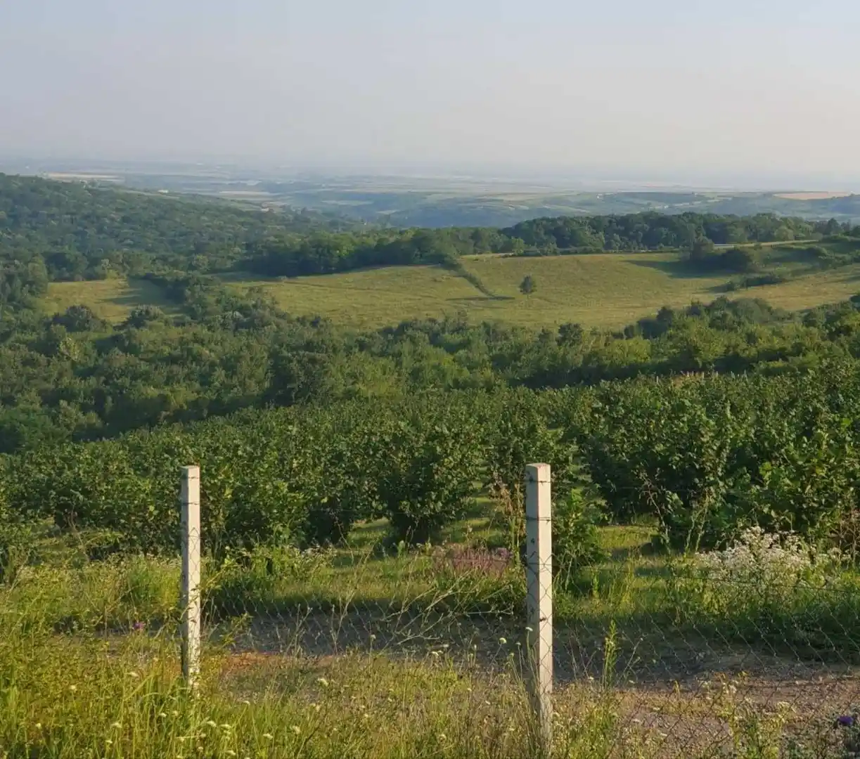 Izlaz prema Jazku, Vrdnik