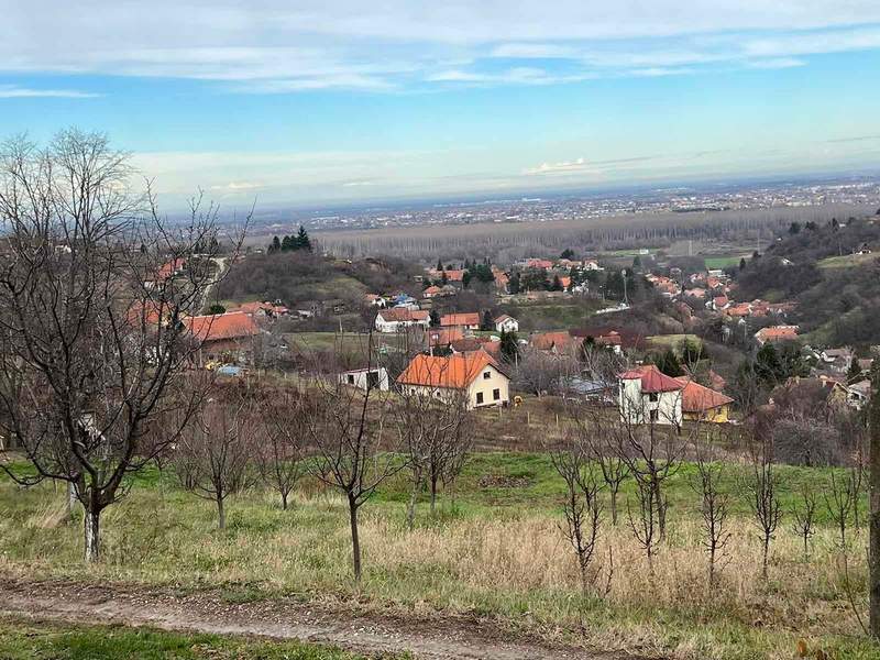 Novi Rakovac, Rakovac