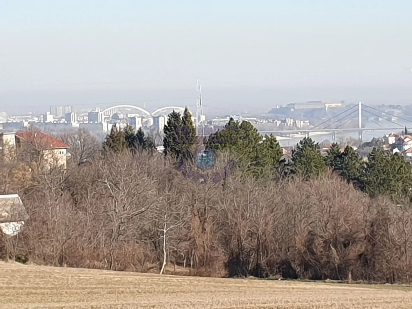 Bocke, Sremska Kamenica