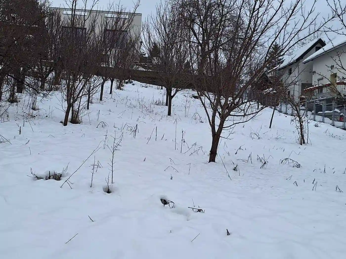 Paragovo, Sremska Kamenica