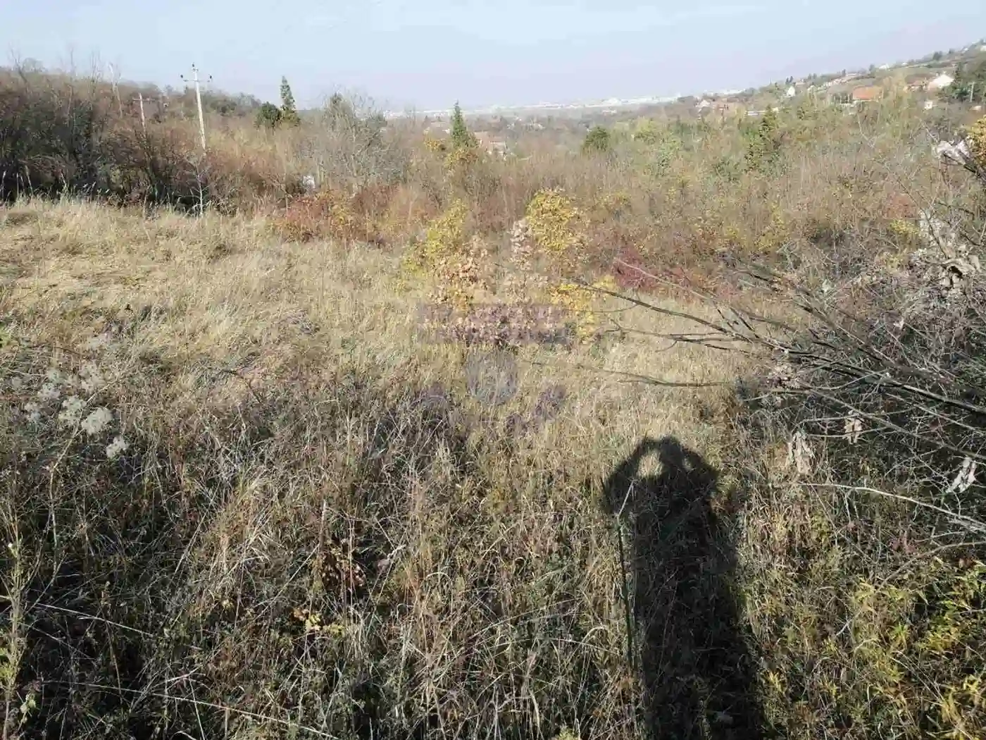 Novi Ledinci, Ledinci, Selište