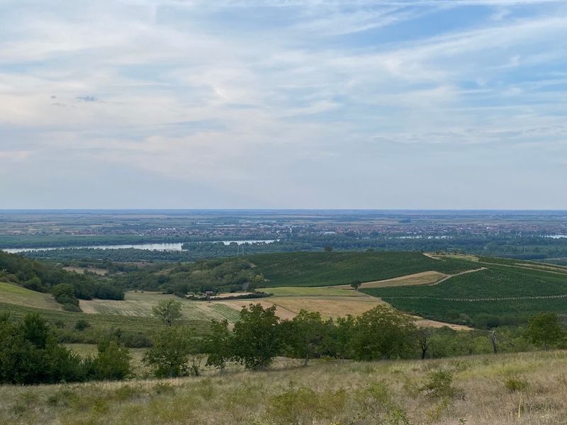 Vikend zona, Čerević