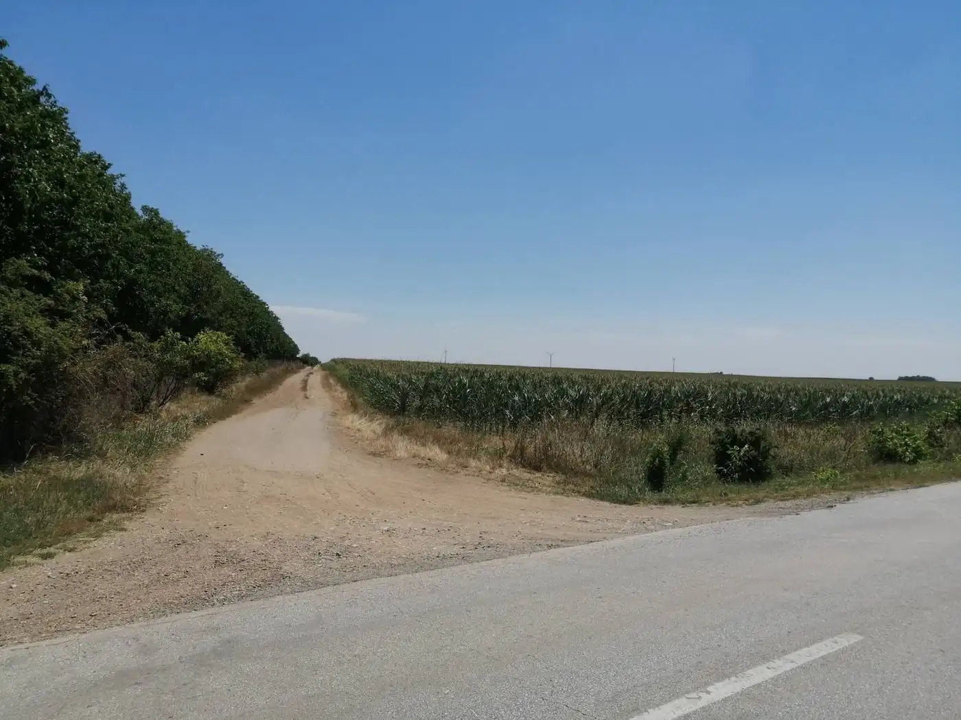 Lipar, Kula