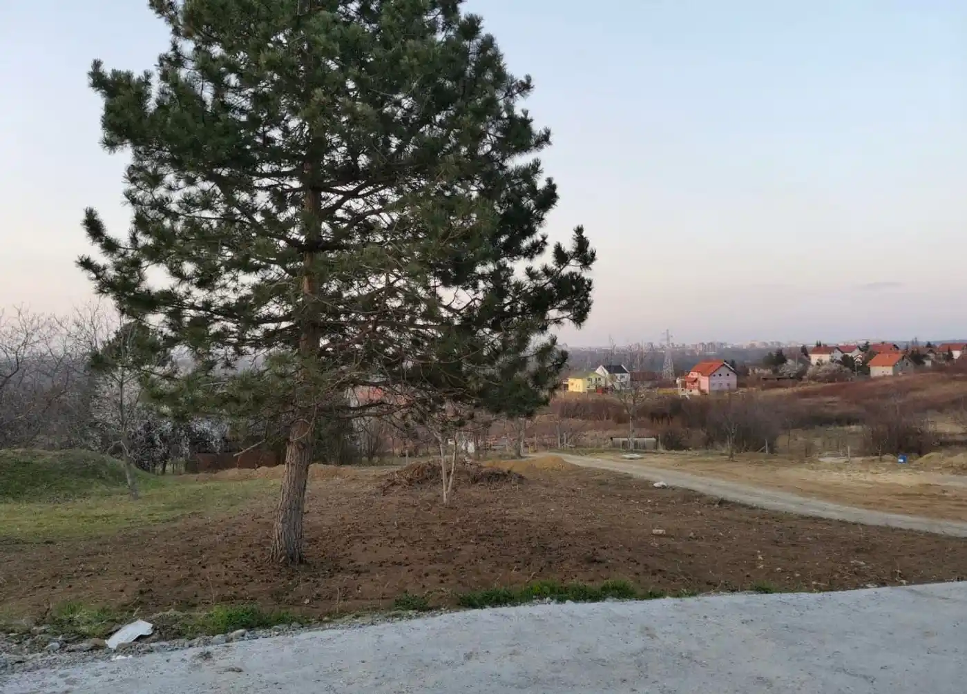 Novi Ledinci, Ledinci,