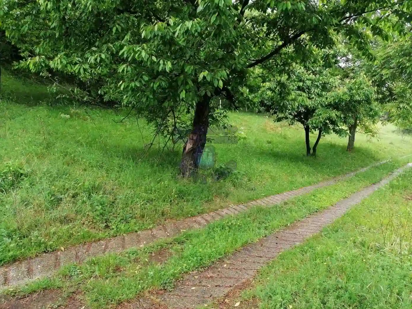 Popovica, Sremska Kamenica