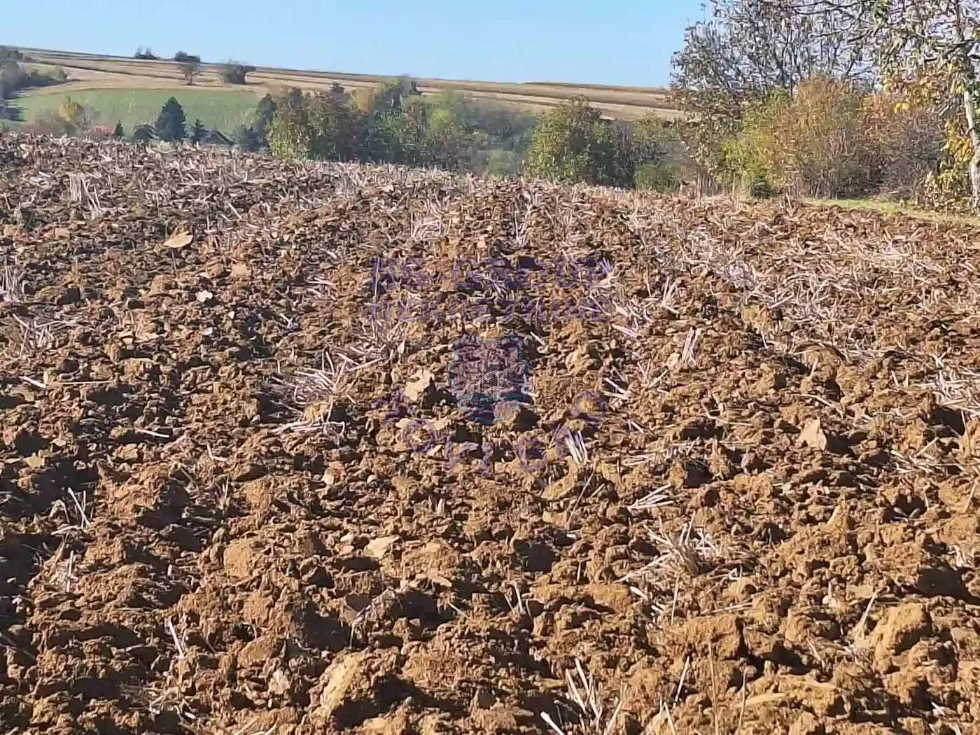 Vikend naselje, Banoštor