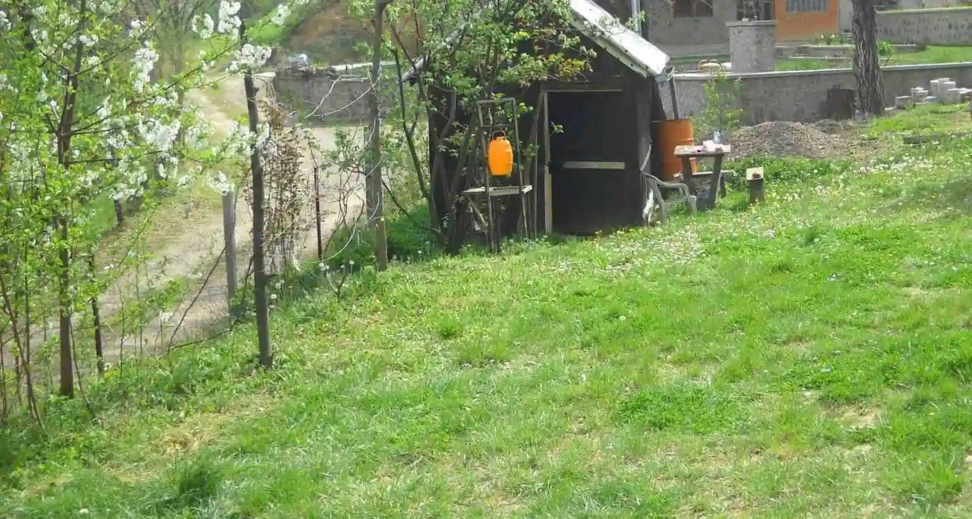 Kameničke livade, Sremska Kamenica