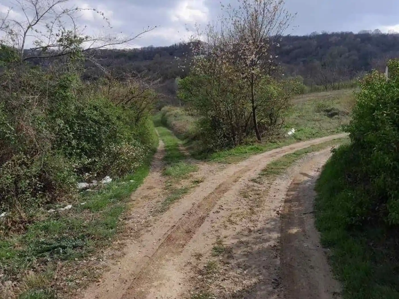 Novi Ledinci, Ledinci