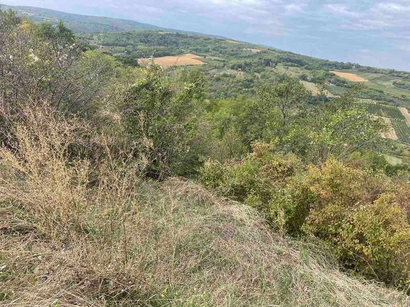 Stražilovo, Sremski Karlovci