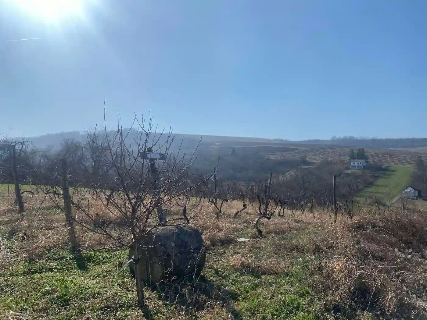 Izlaz iz Banoštra, Banoštor