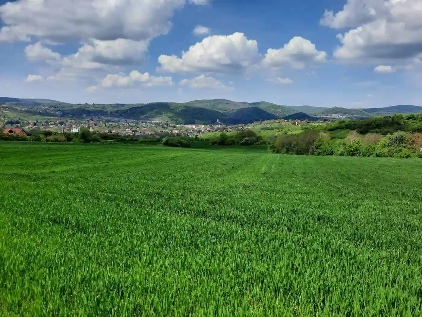 Vikend naselje, Vrdnik