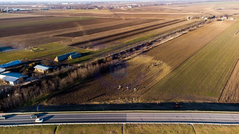 Ulaz u Kać, Kać, Mg-put 7 Novi Sad - Zrenjanin