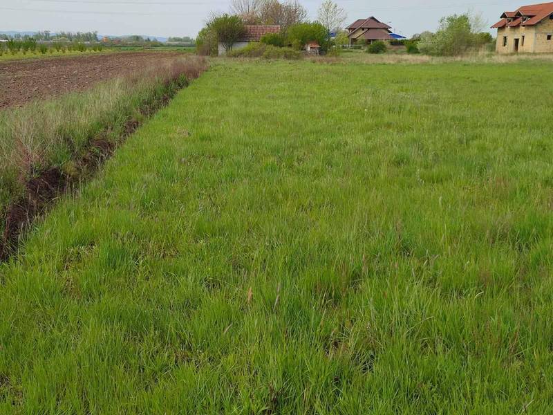 Sajlovo, Novi Sad, Izaberite Ulicu