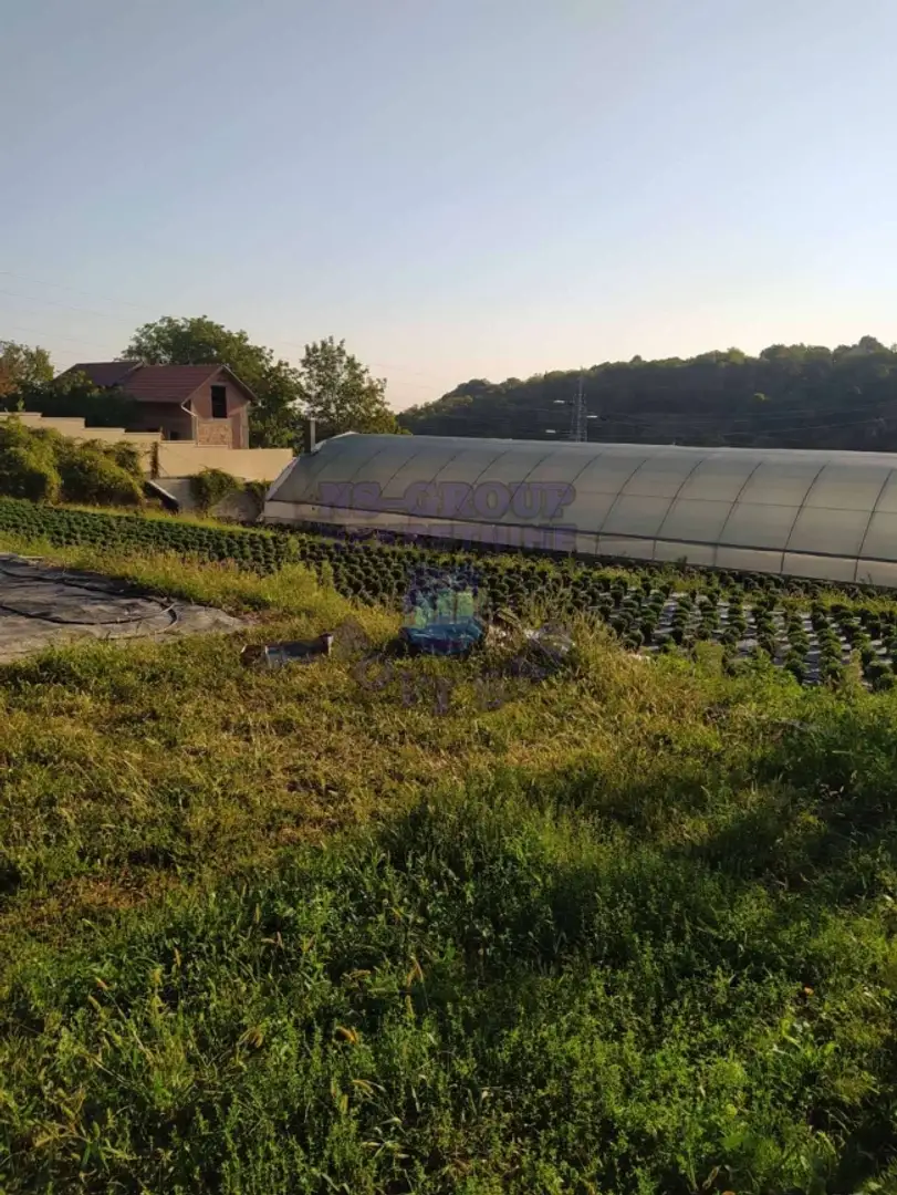 Čardak, Sremska Kamenica
