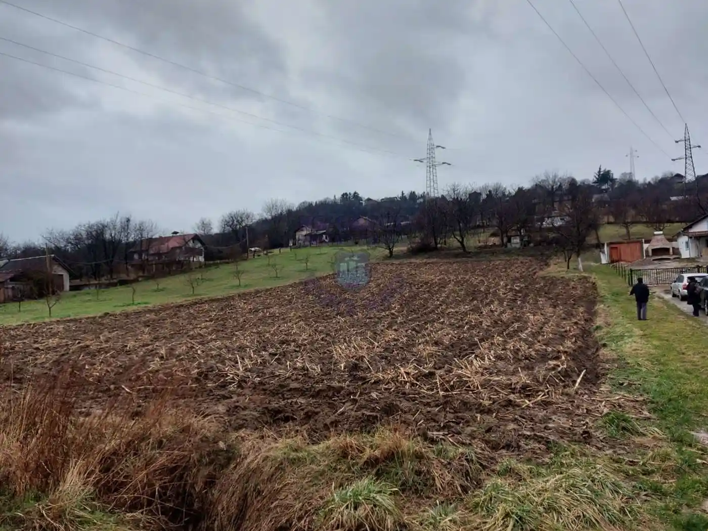 Kameničke livade, Sremska Kamenica