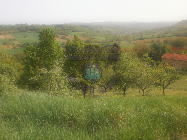 Kameničke livade, Sremska Kamenica