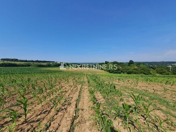 Poljoprivredno zemljište na prodaju, Dučina