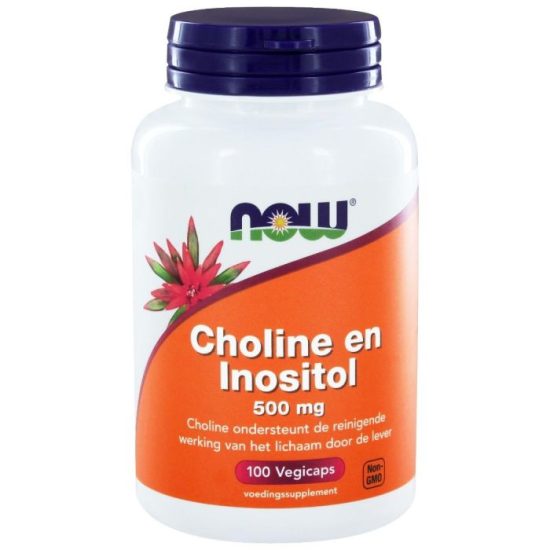 NOW Foods, Choline & Inositol, 100 Veg Capsules