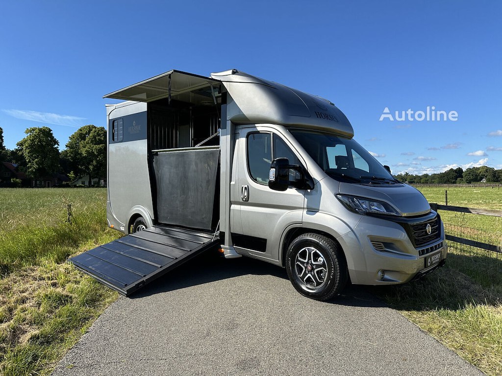 Novi FIAT Ducato 2-paards paardenvrachtwagen vozilo za prevoz konja