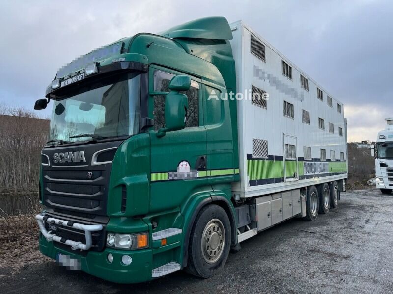 Scania R500 kamion za prevoz stoke