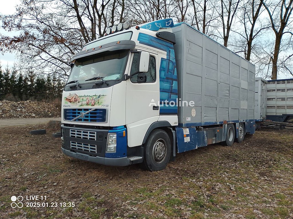 Volvo Fh 460 kamion za prevoz stoke