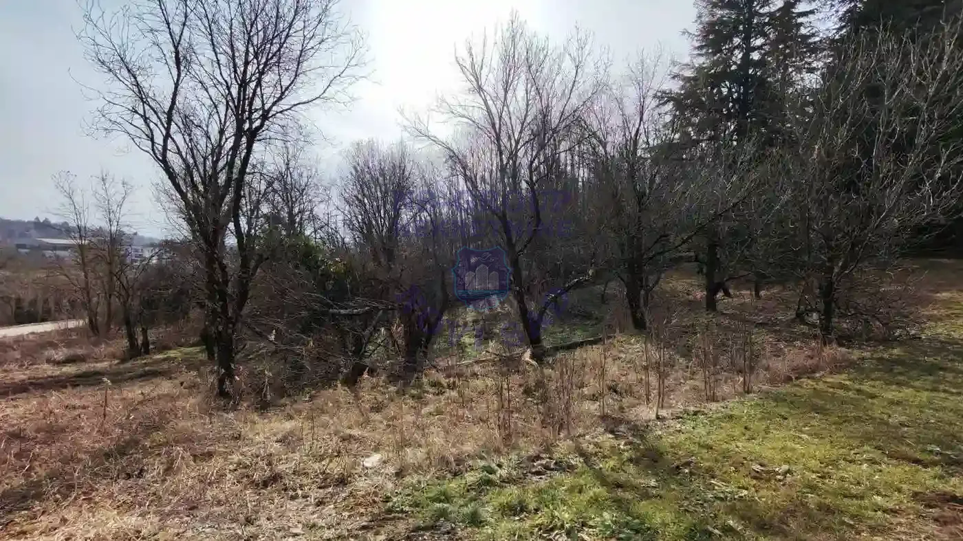 Centar, Vrdnik