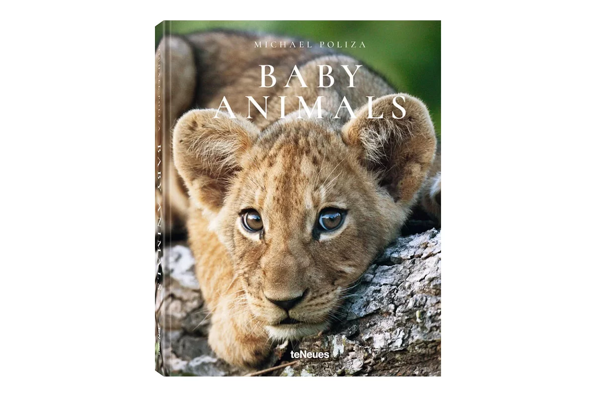 Baby Animals