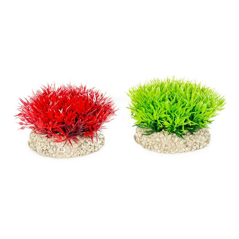 Duvo+ Bilje za akvarijum Crystalwort Moss S - visina 5cm više boja 1kom