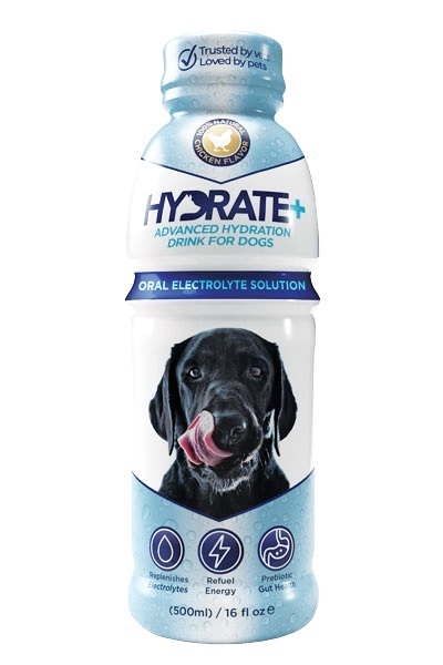 Mervue Oralade Hydrate+ Dog, dopunsko hranivo za pse