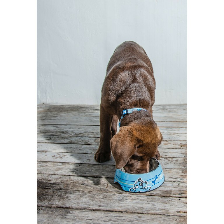 Rogz Činija Bubble Bowlz Puppy M Blue