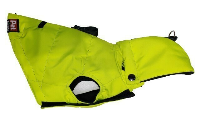 Pet Republic Fluo XS