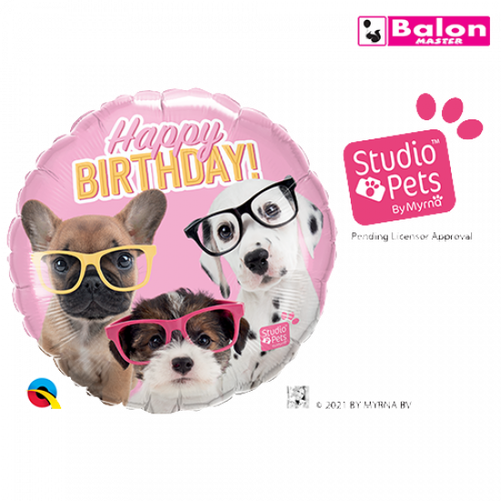 Birthday puppies with eyeglasses 18in