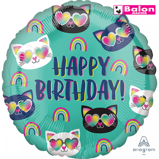 Cool kitty rainbow birthday 18in