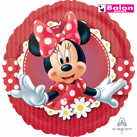 Mad about Minnie 18in