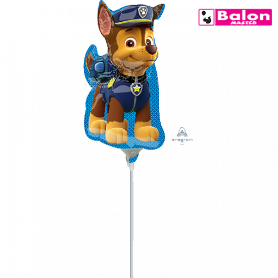 Mini shape Paw Patrol Chase