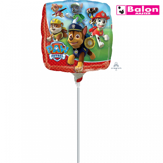 Mini shape square Paw Patrol