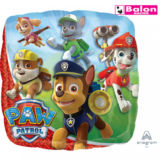 Paw patrol 18in