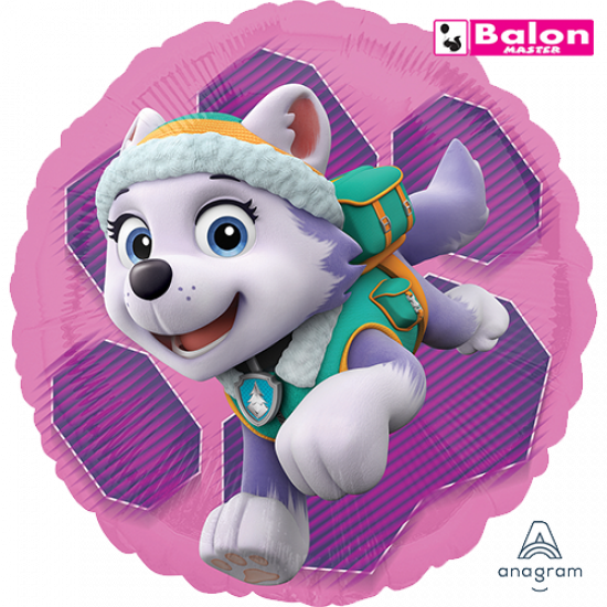 Paw Patrol Skye and Everest 18in