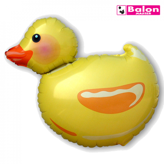 Shape Duck