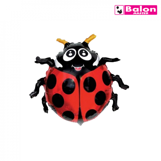 Shape ladybug