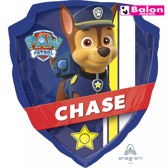 Shape Paw Patrol