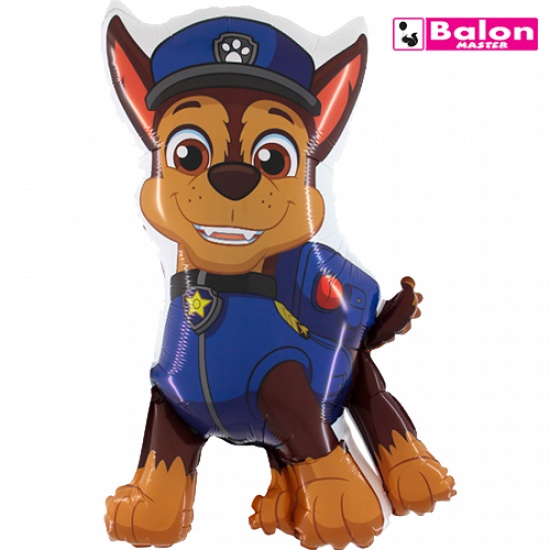 Shape Paw Patrol Chase G