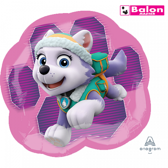 Shape Paw Patrol girls