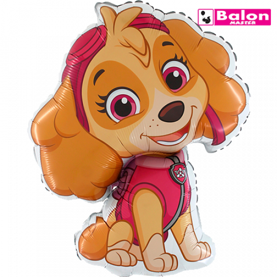 Shape Paw Patrol Skye