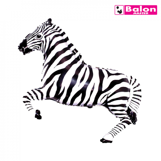 Shape Zebra